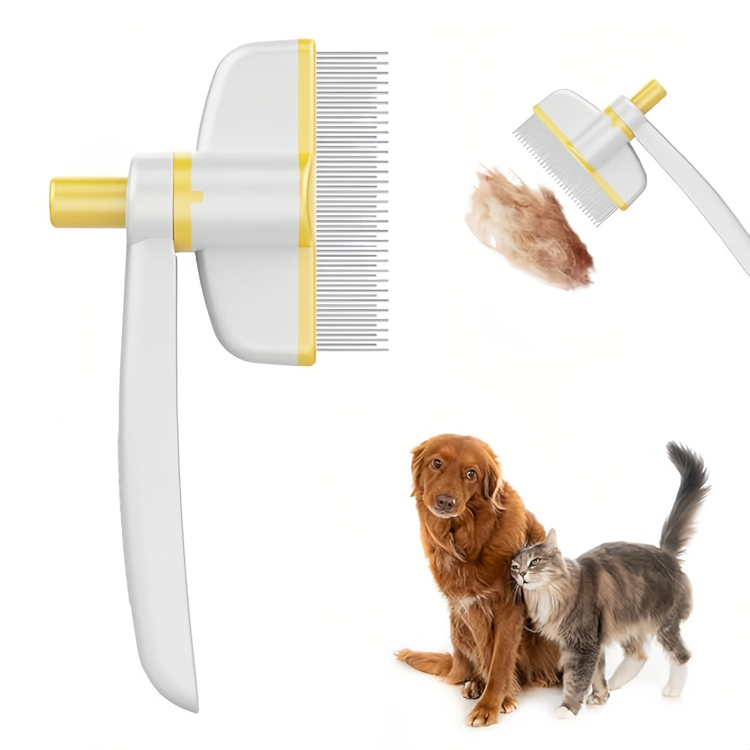 Home page – YOMI PET