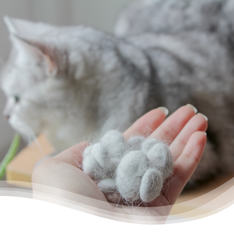 YOMI PET - Premium Pet Cleaning Tools for a Spotless Home