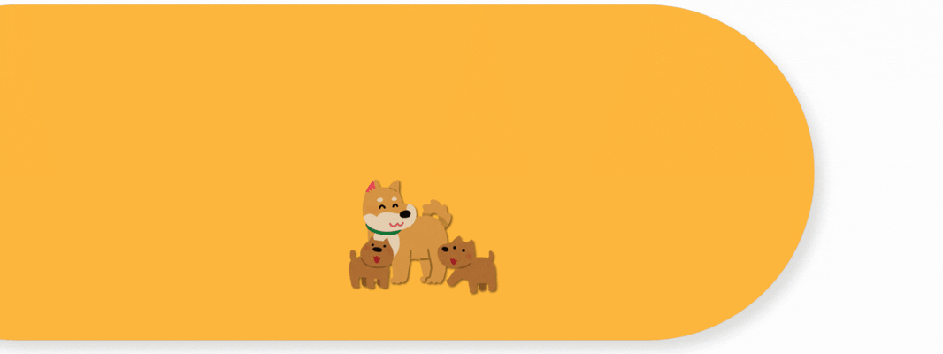 YOMI PET - Premium Pet Cleaning Tools for a Spotless Home
