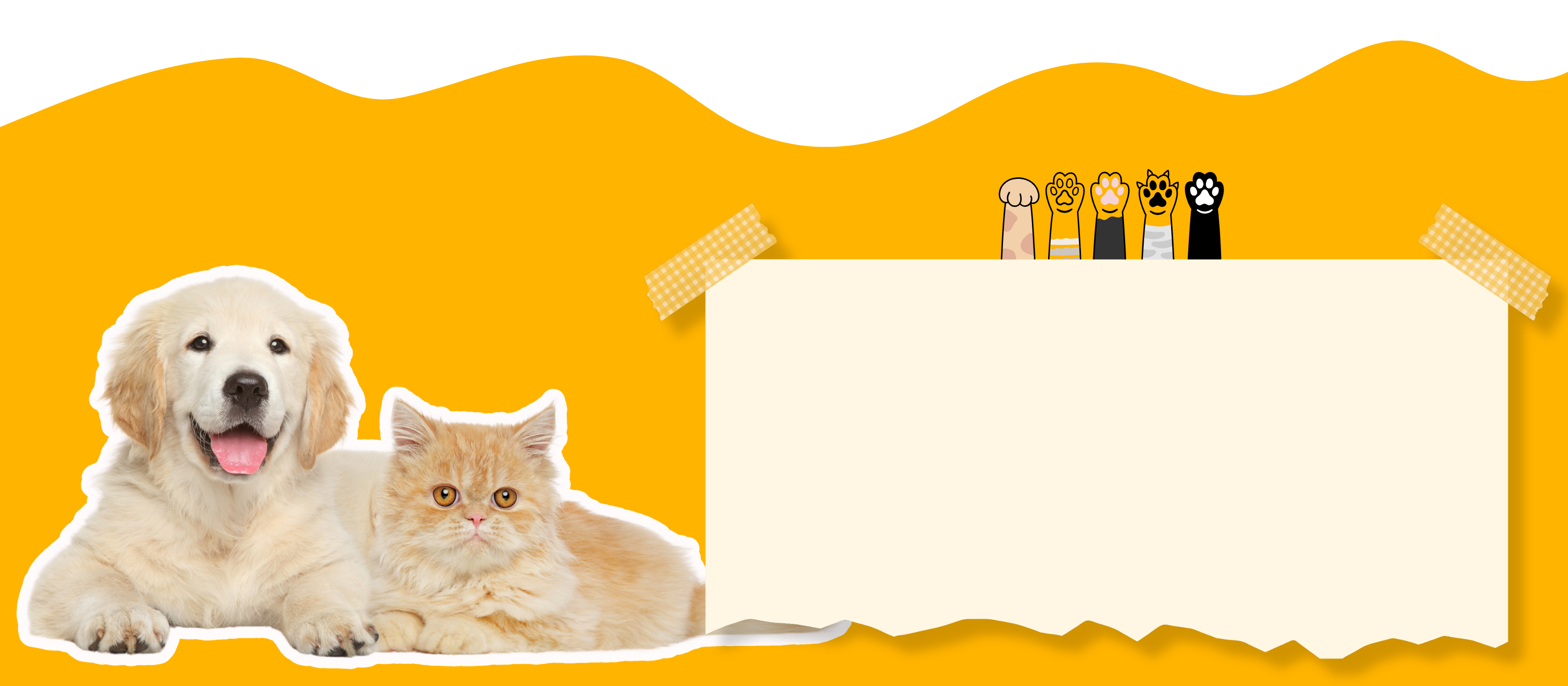 YOMI PET - Premium Pet Cleaning Tools for a Spotless Home
